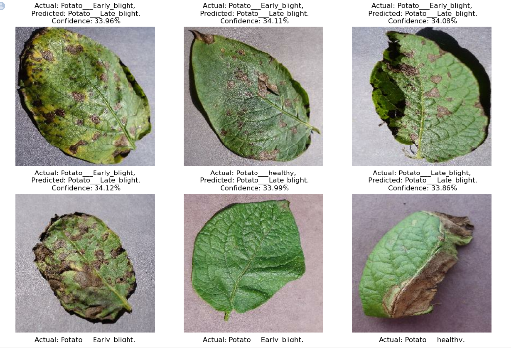 Khoa_Doan Digital CV